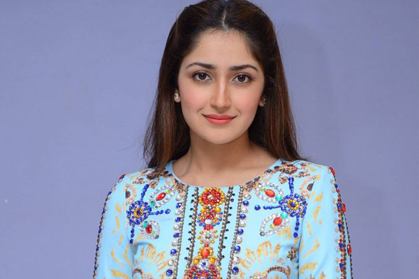 Sayesha Saigal Photos - Telugu360